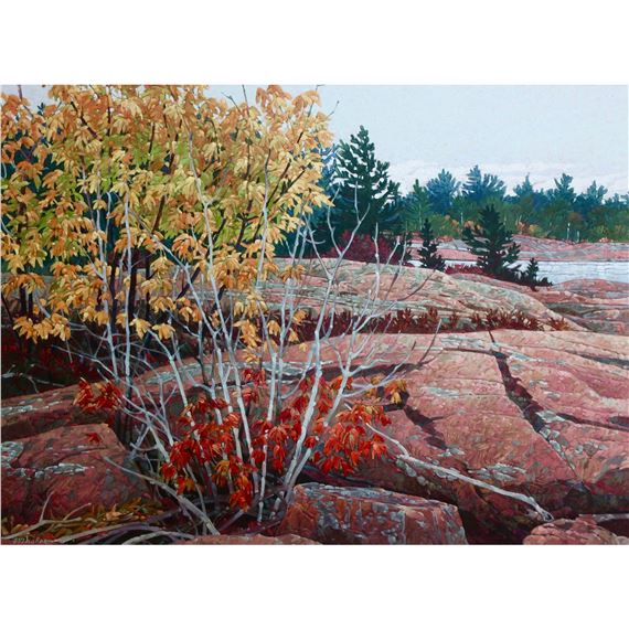 Walter Drohan | LICHEN ON PINK GRANITE | MutualArt