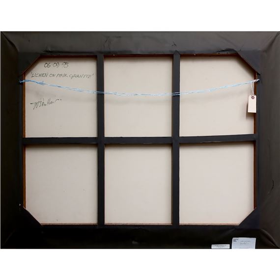 Walter Drohan | LICHEN ON PINK GRANITE | MutualArt