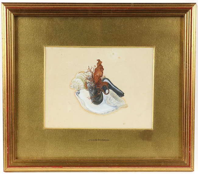 John Ruskin | study of sea shells and seaweed | MutualArt