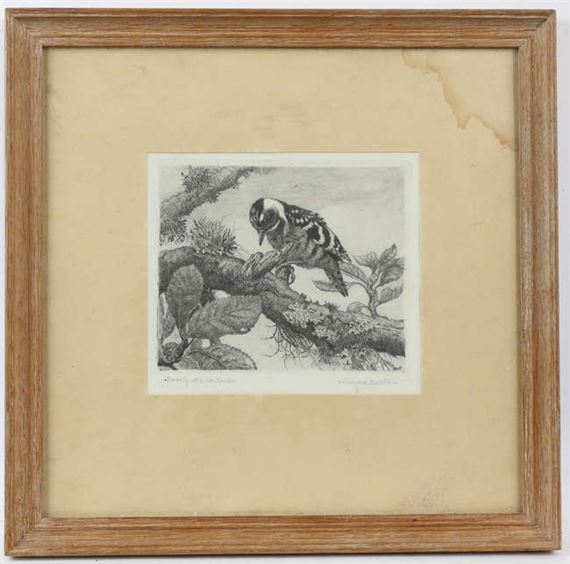Winifred Austen | Lesser Spotted Woodpecker | MutualArt