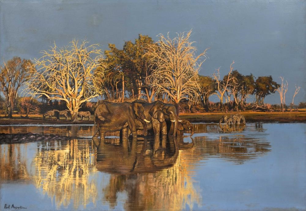 Paul Augustinus | Kwikampa Pan | MutualArt