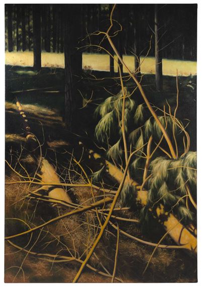 John Hopkins | 6 Artworks at Auction | MutualArt