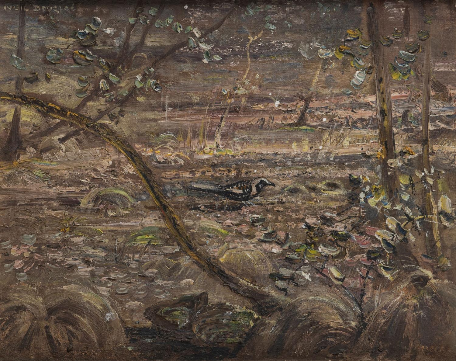 Neil Douglas | The Ground Bird | MutualArt