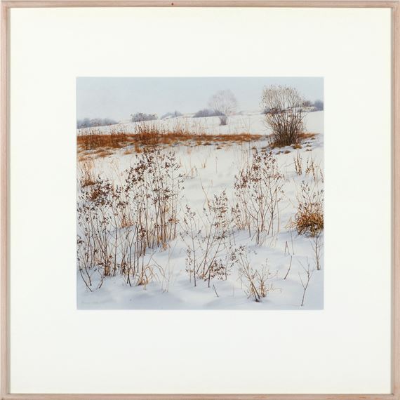 Jan Peter Tripp | Gräser in verschneiter Landschaft (1985) | MutualArt