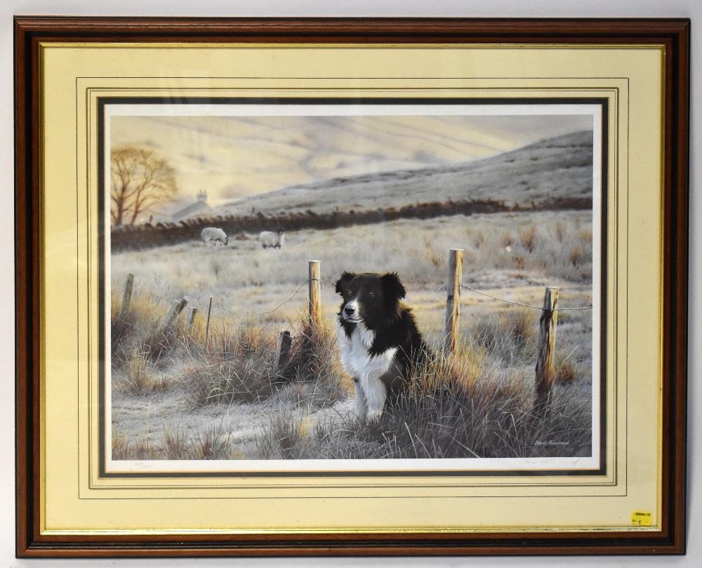 Steven Townsend | depicting a Collie dog between moorland fens waiting ...