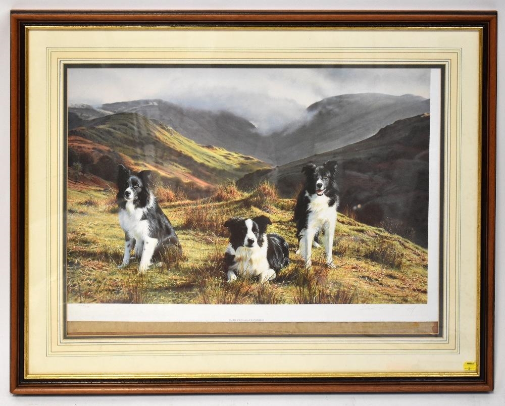 Steven Townsend | depicting three Collie dogs on the brow of a hill, no ...
