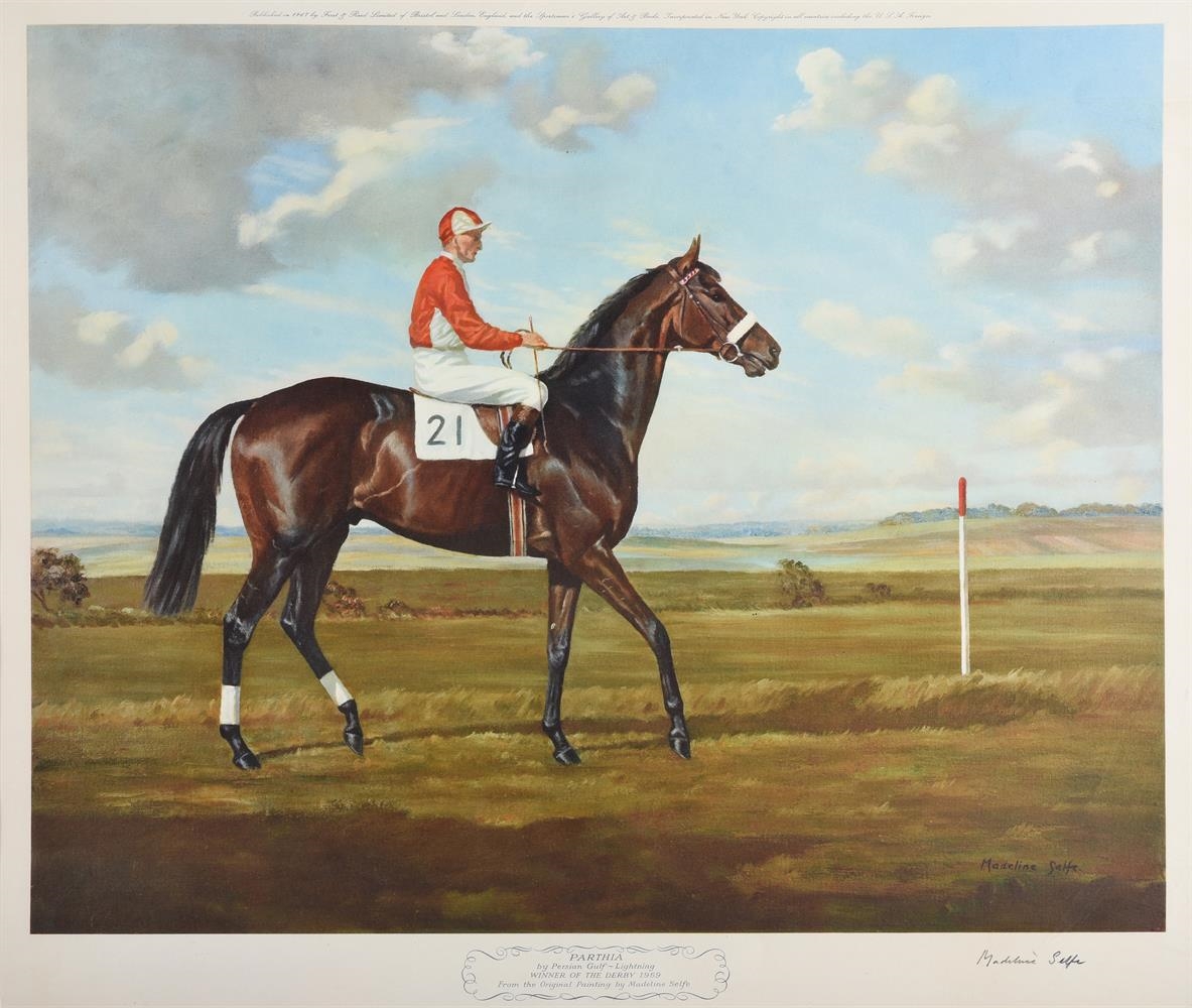 Madeline Selfe | Parthia by Persian Gulf-Lightning, winner of the Derby ...