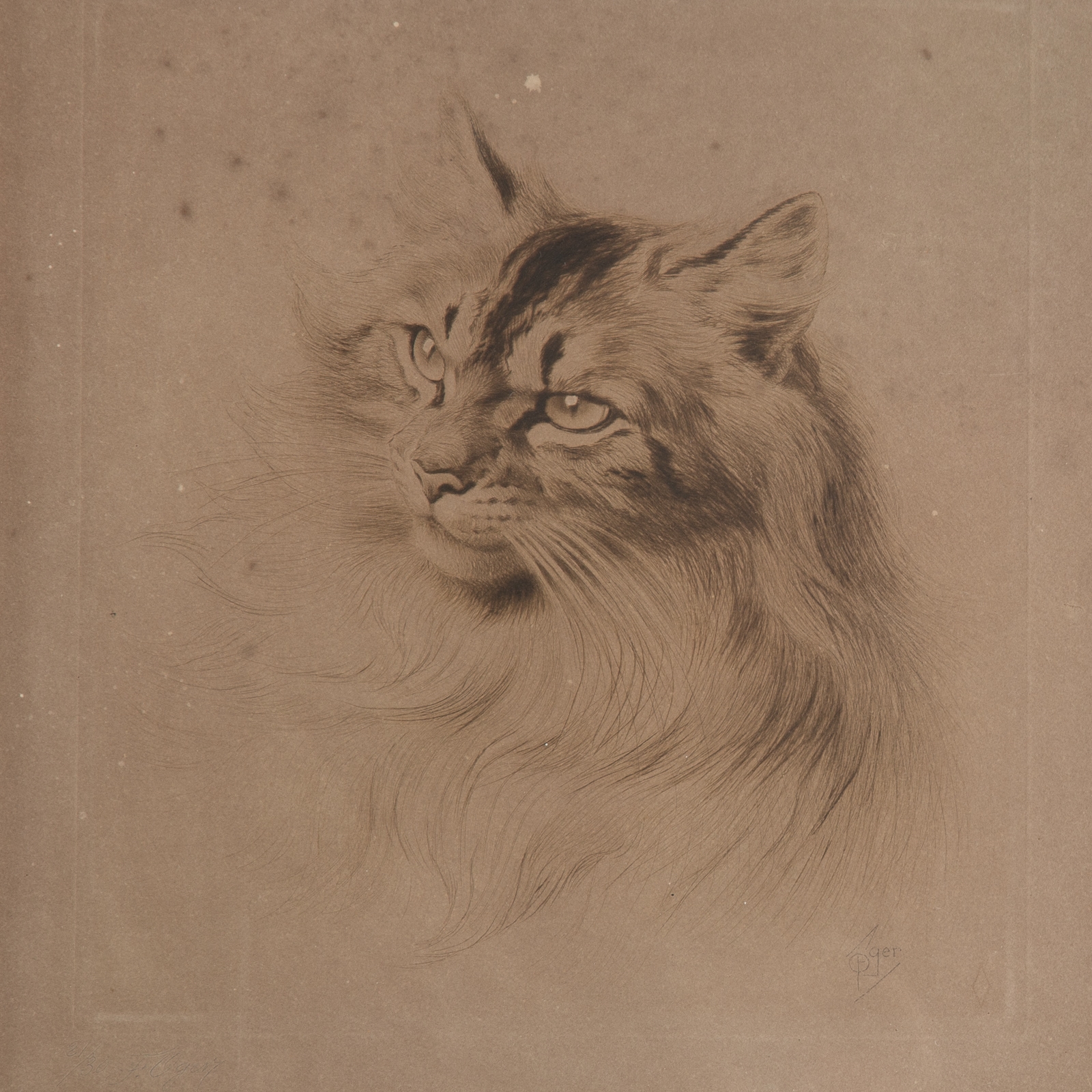 Ferdinand Oger | Three Cat Etchings | MutualArt