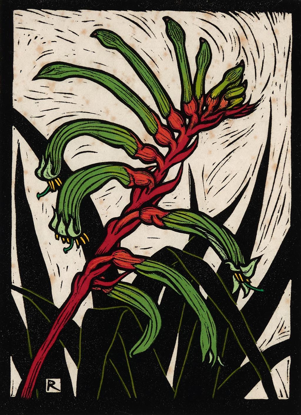Rachel Newling | Kangaroo Paws | MutualArt