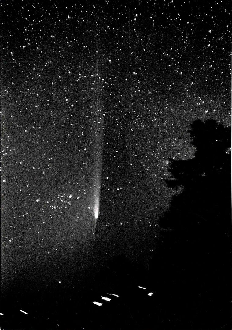 MutualArt.com - The Web's Largest Art Information Service.