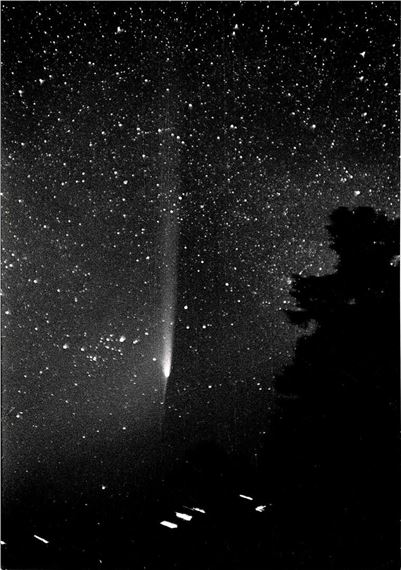 Robert Phildius | Comet Arend-Roland (26) | MutualArt