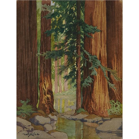 William S. Rice | In the Heart of the Redwoods | MutualArt