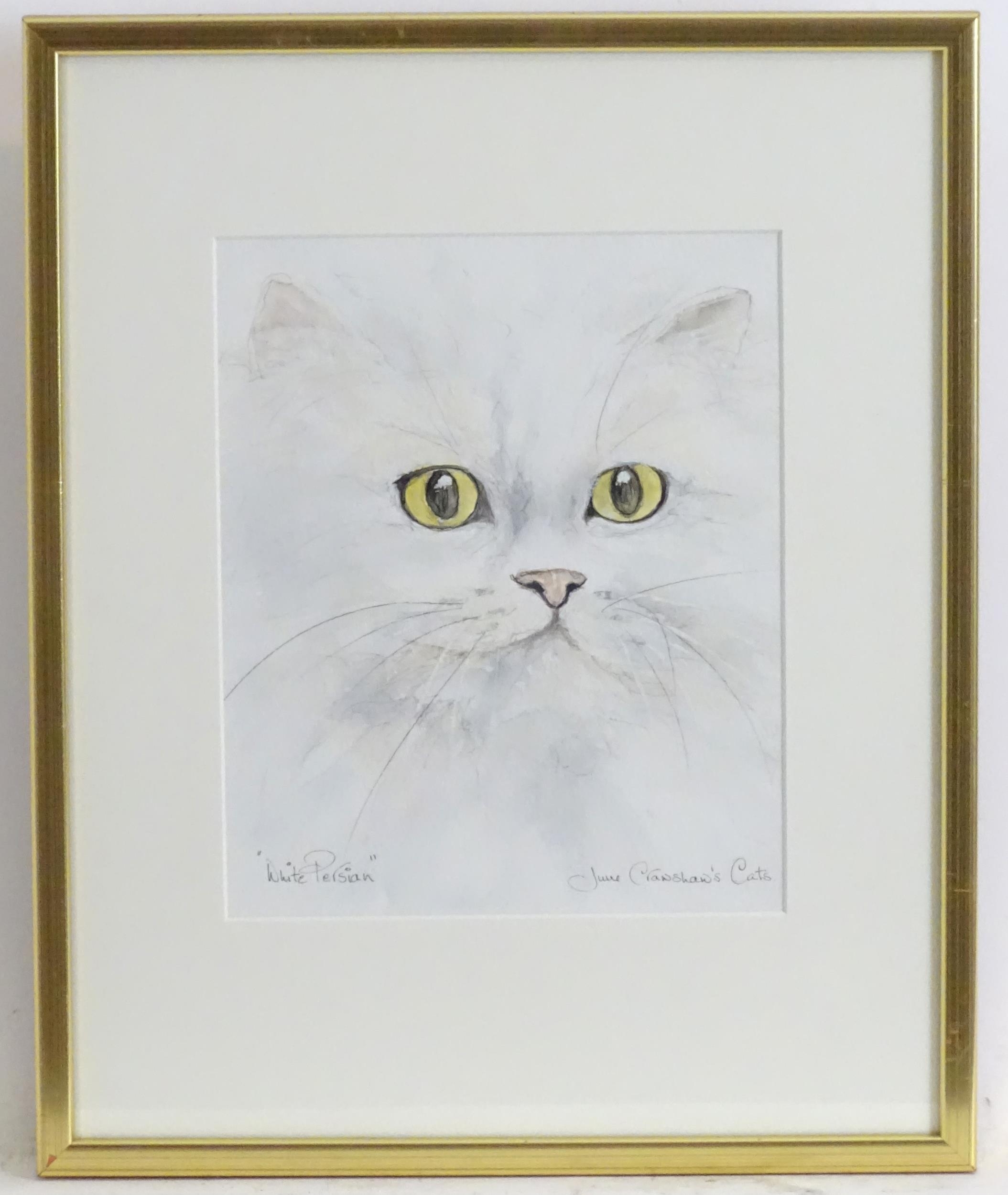 June Crawshaw | White Persian (20th Century) | MutualArt