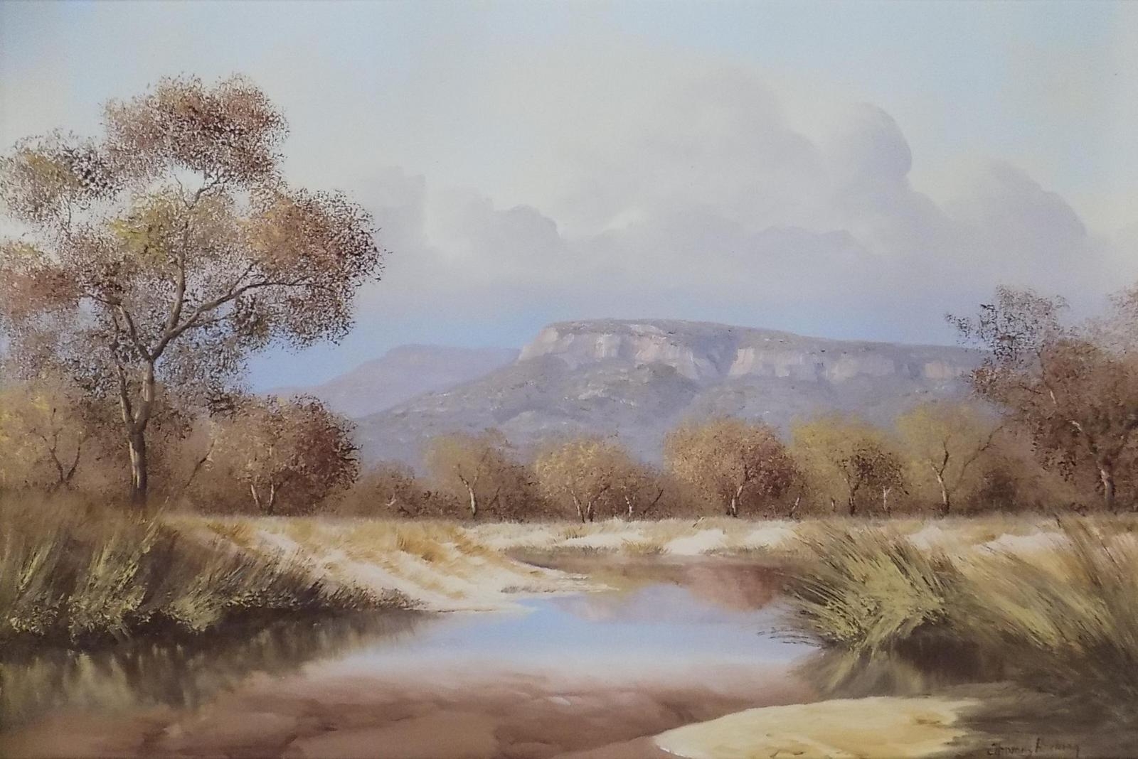 Thomas Hacking | Bushveld | MutualArt