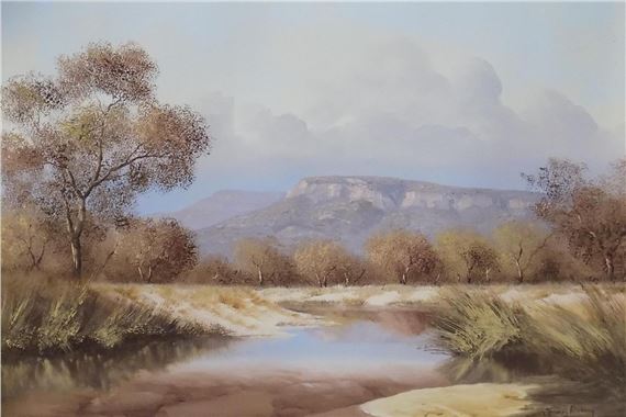 Thomas Hacking | Bushveld | MutualArt