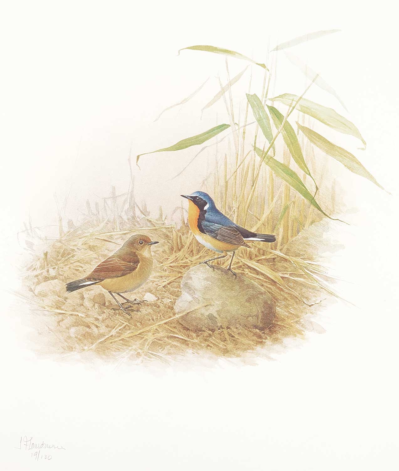 James Fenwick Lansdowne | Untitled - Birds in the Grass | MutualArt