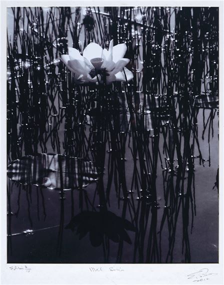 Eric Peris | Mal Series (2012) | MutualArt