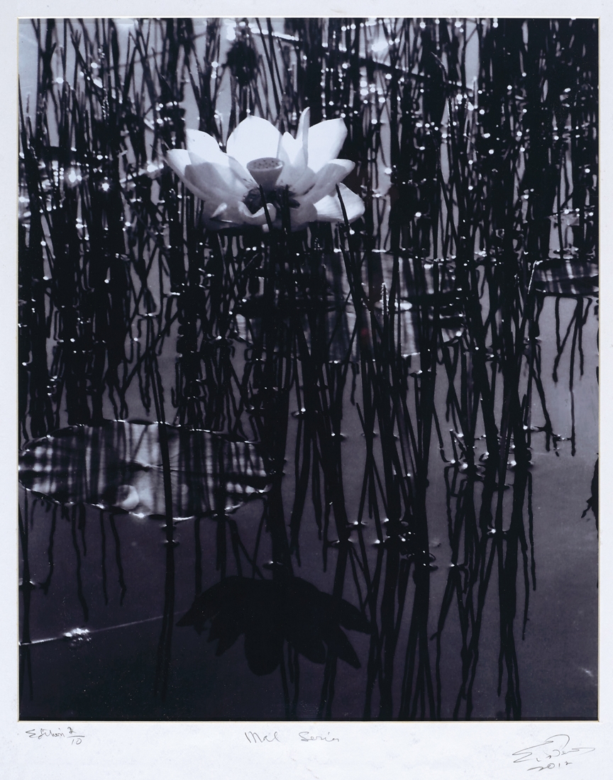 Eric Peris | Mal Series (2012) | MutualArt