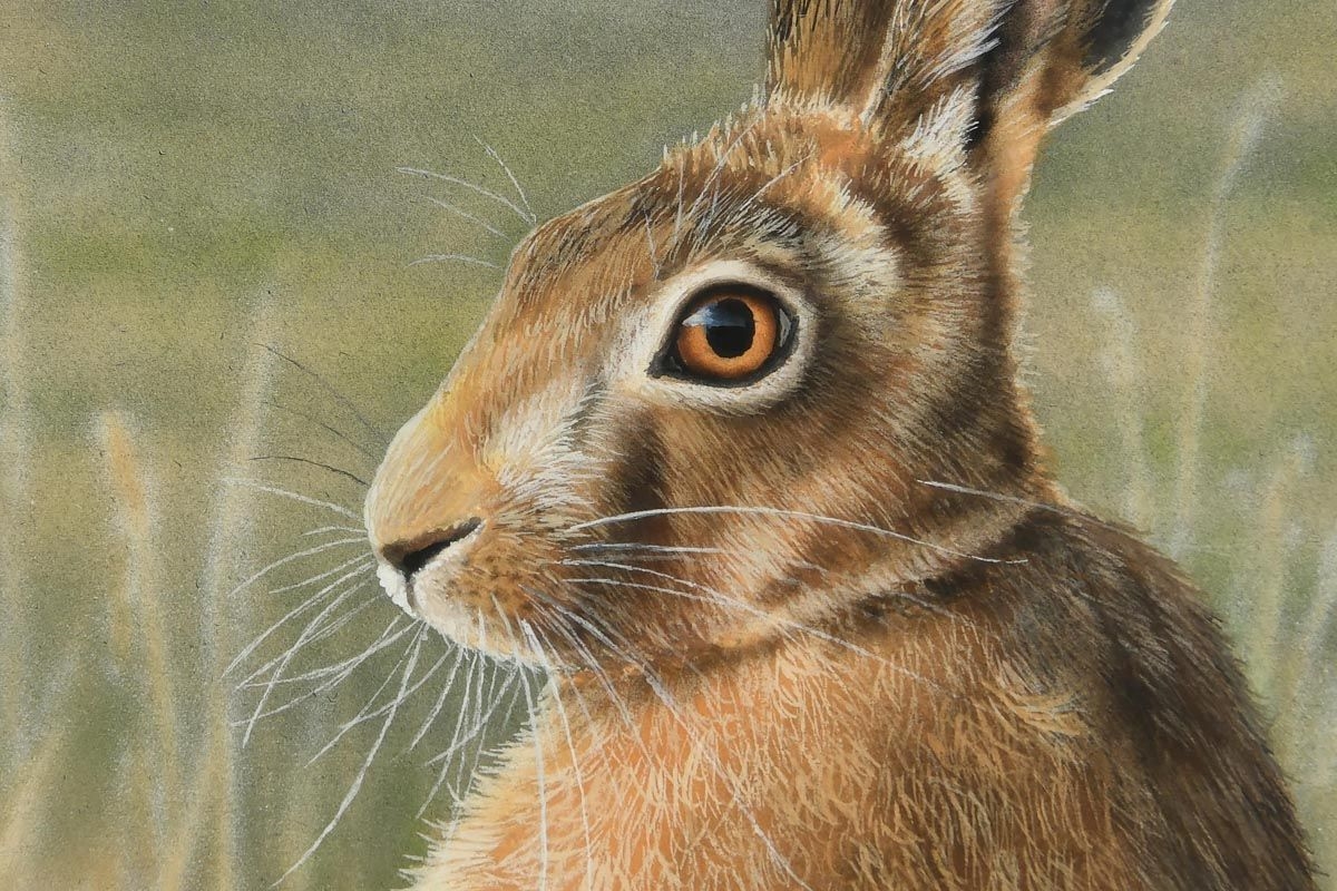 Nigel Artingstall | Brown Hare | MutualArt