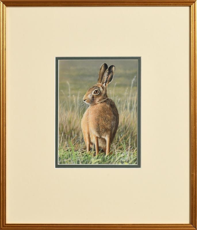 Nigel Artingstall | Brown Hare | MutualArt