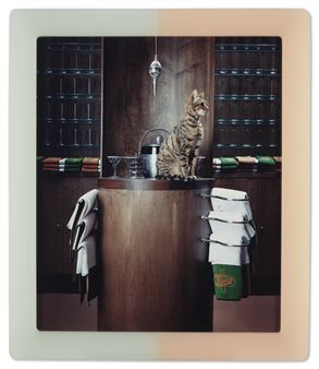 Matthew Barney | Cremaster 3: Plumb line (2001) | MutualArt