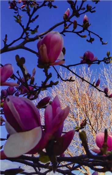 Lucas Crabtree | 1 Artworks | MutualArt