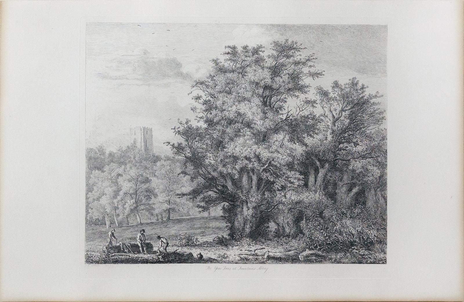 Jacob George Strutt | The Yew trees at Fountains Abbey; Beech in Knole ...