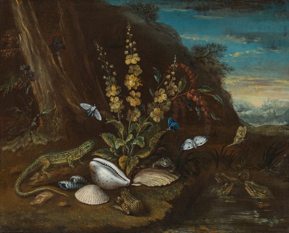 Karl Wilhelm de Hamilton | Still life of forest ground with lizard ...