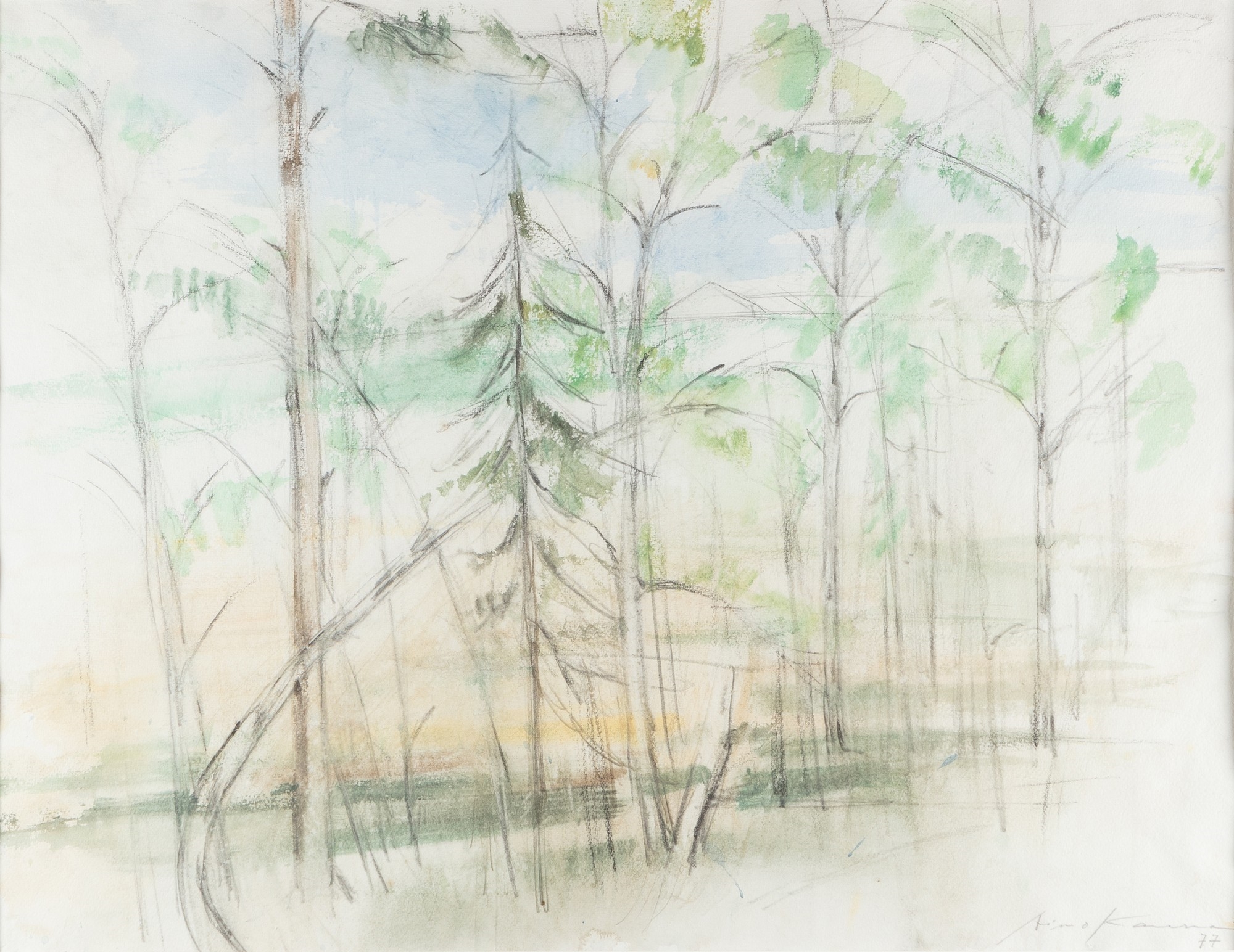 Aimo Kanerva | Landscape (77) | MutualArt