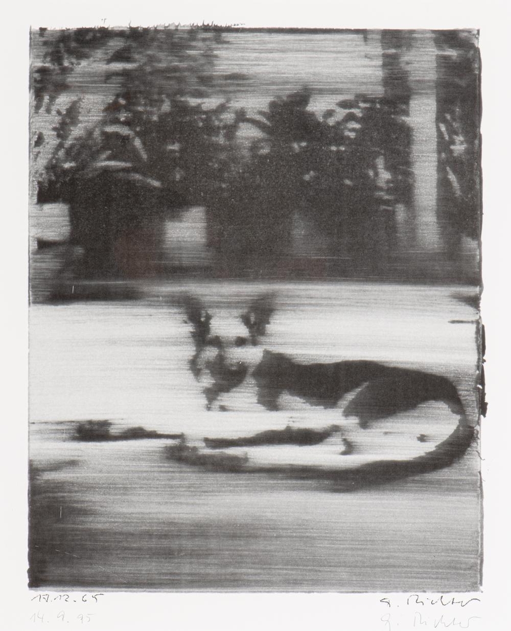 Gerhard Richter | Hund [Dog] (1965) | MutualArt