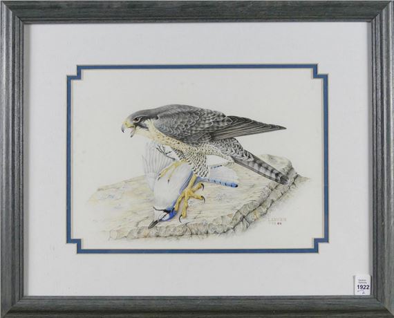 Layne Larsen | Peale's Falcon with Blue Jay and Rosebreast Grosbeak ...