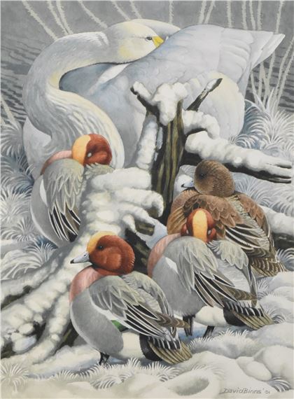 David Binns | Swan and Widgeon | MutualArt