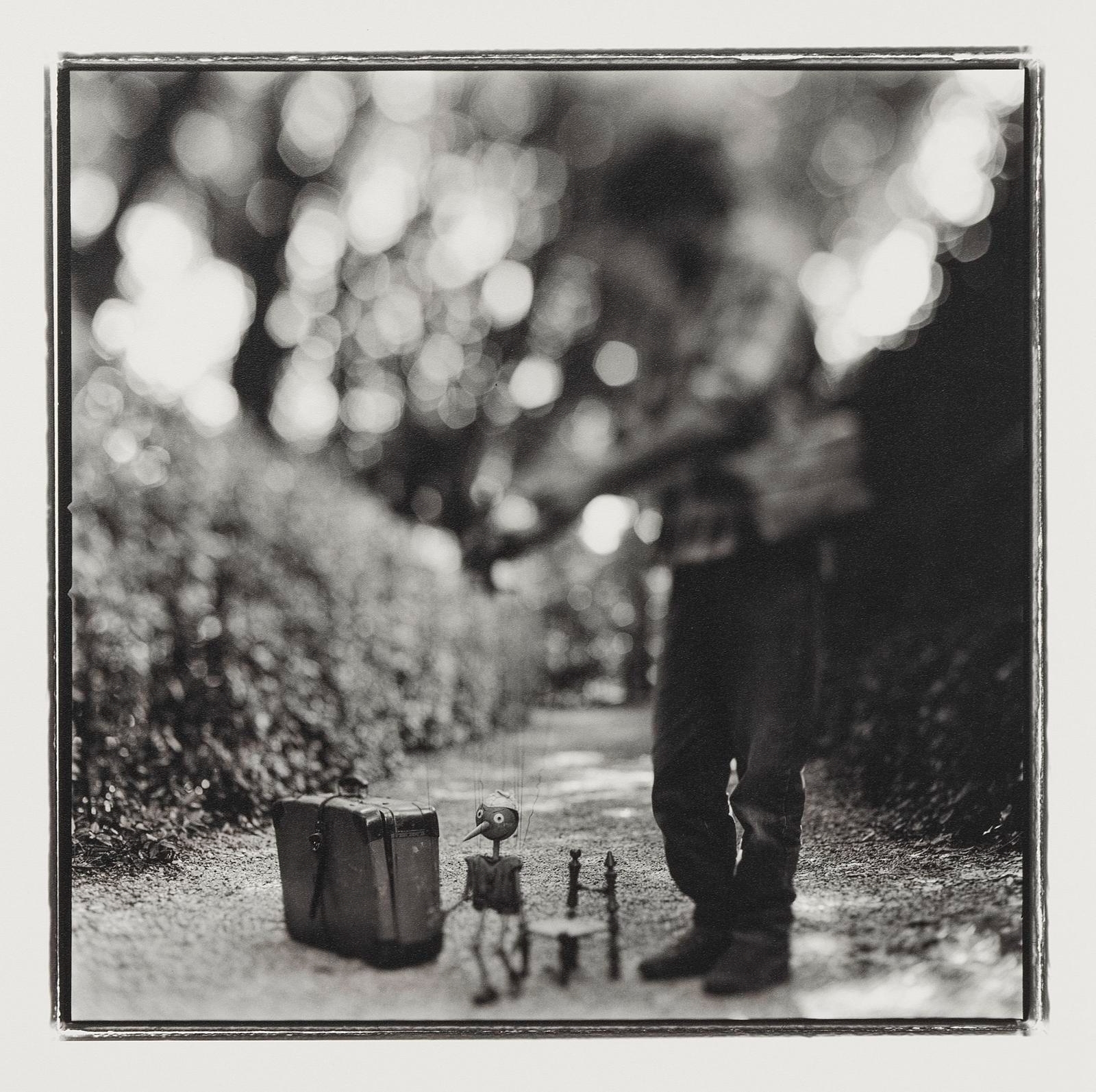 Keith Carter | Pinocchio (1998) | MutualArt