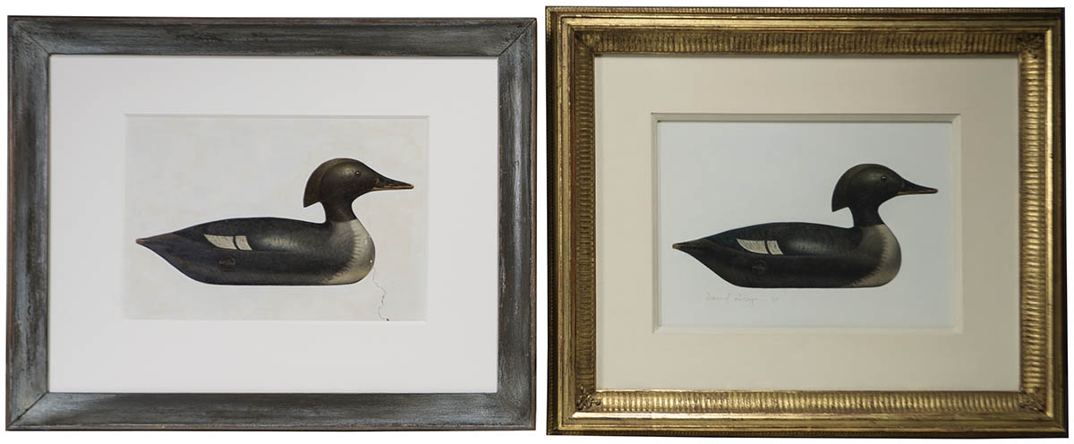 David Brega | Joe Lincoln Hooded Merganser Hens | MutualArt