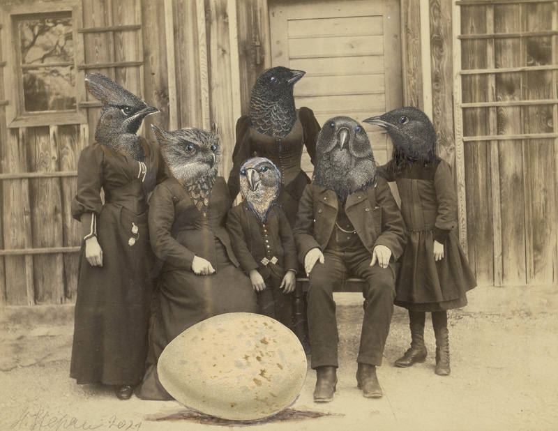 Hana Stepan | Satirical photo collage (2021) | MutualArt