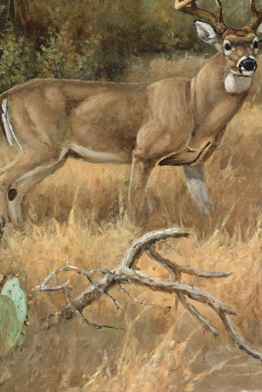David Drinkard | 10 Point Whitetail Buck | MutualArt