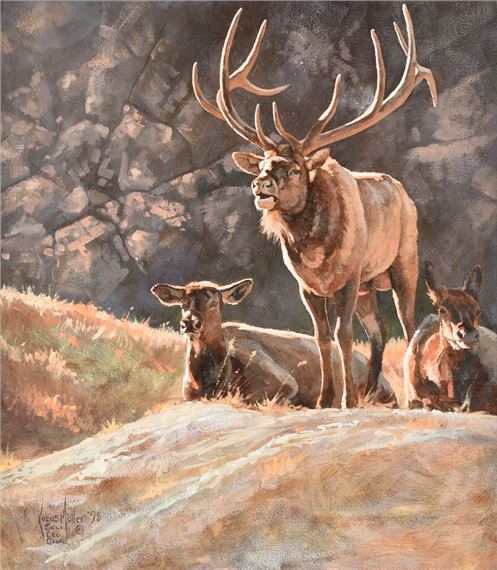 Kobus Moller | Stag with Calves (1998) | MutualArt