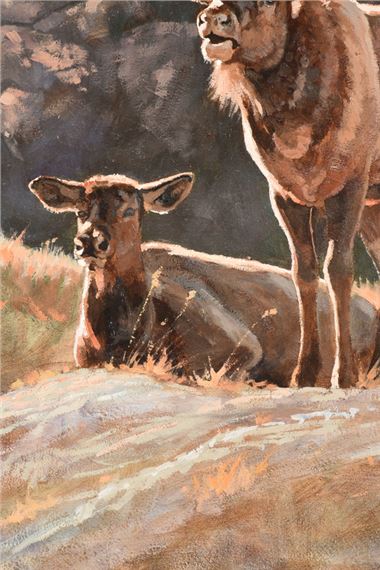 Kobus Moller | Stag with Calves (1998) | MutualArt