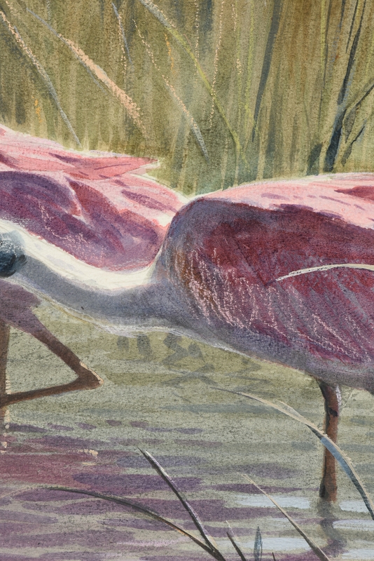 Al Barnes | Wading Roseate Spoonbills | MutualArt