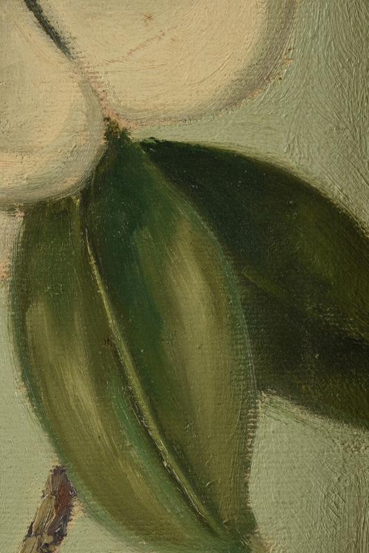 Ike Koenig | Summertime Magnolia Bloom | MutualArt