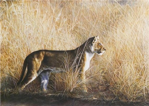 Denis Curry | 1 Artworks | MutualArt