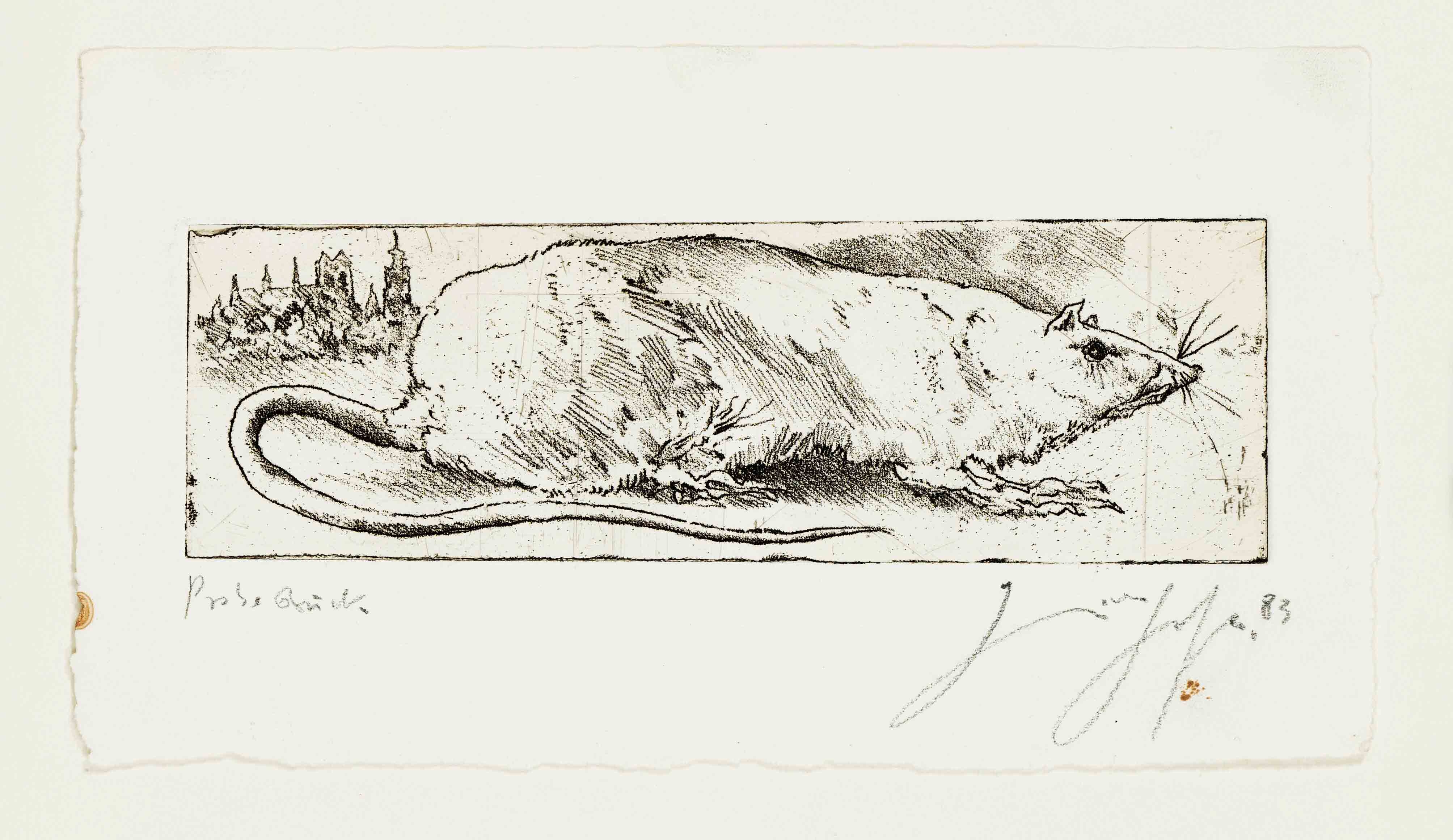 1984 Rats