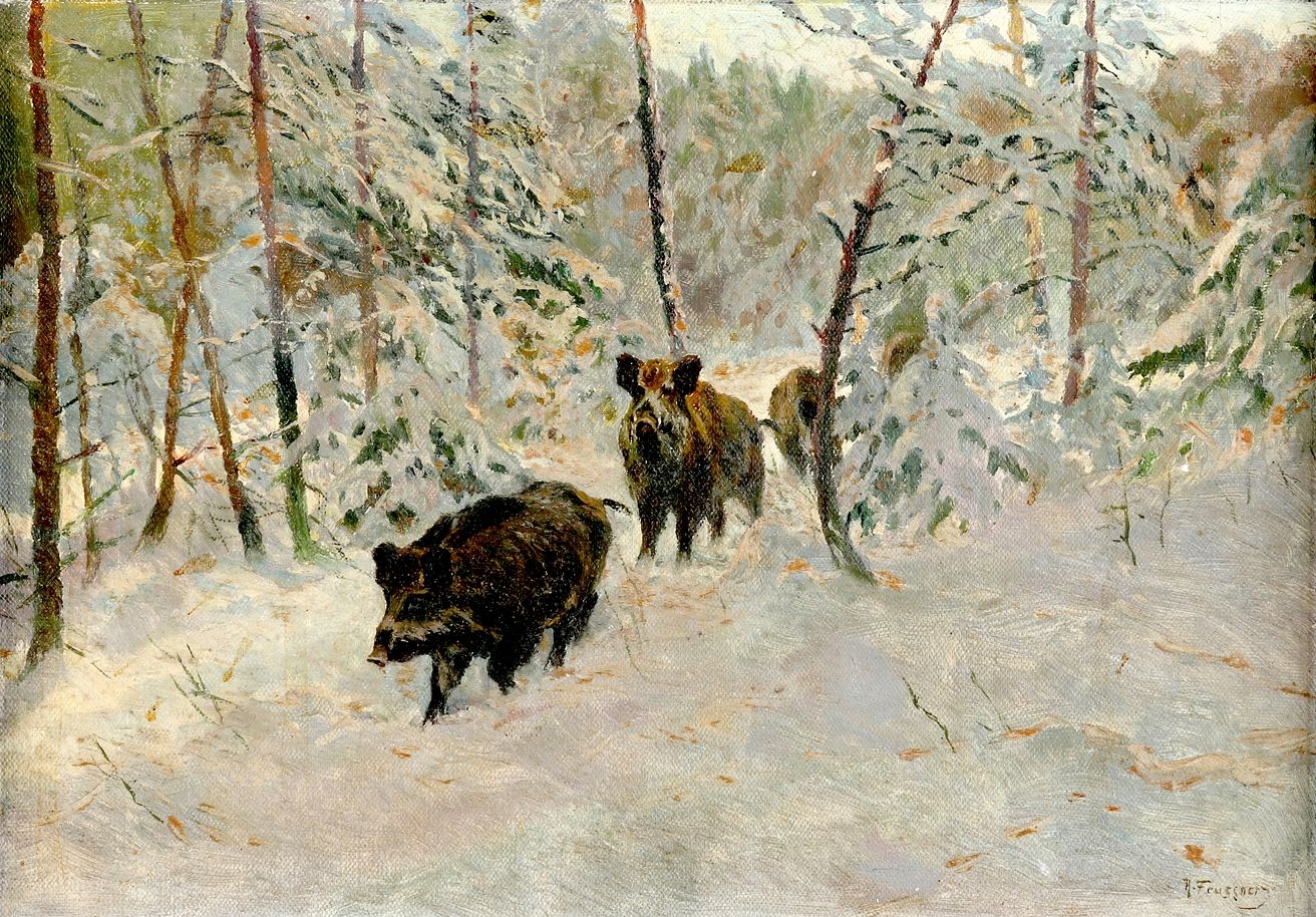 Reinhold Feussner | Bad Harzburg Wildschweinmeute im verschneiten Wald ...