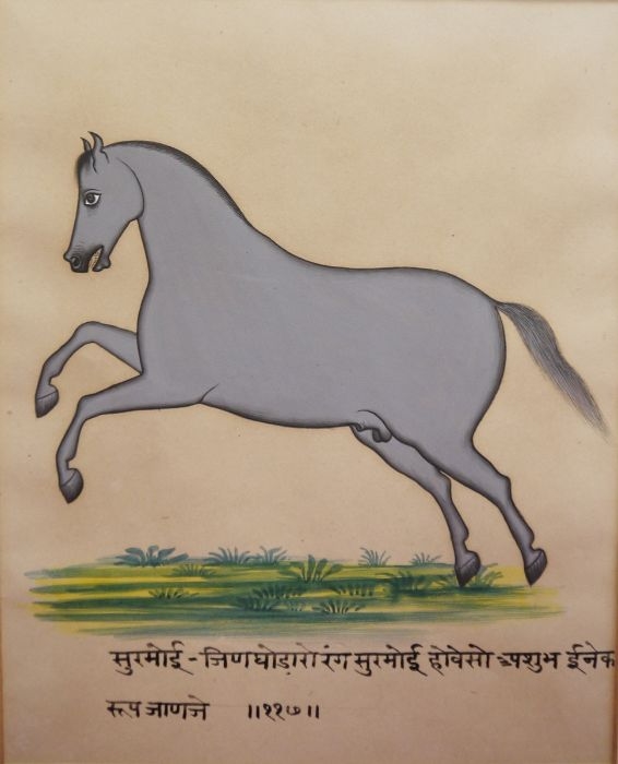 Chetak Horse Drawing