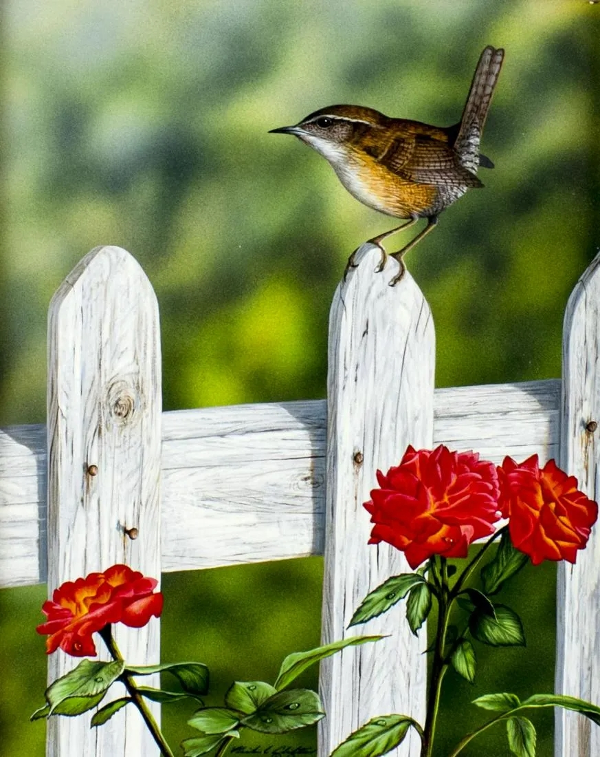 Richard Clifton-Dey | Bird on Fence | MutualArt