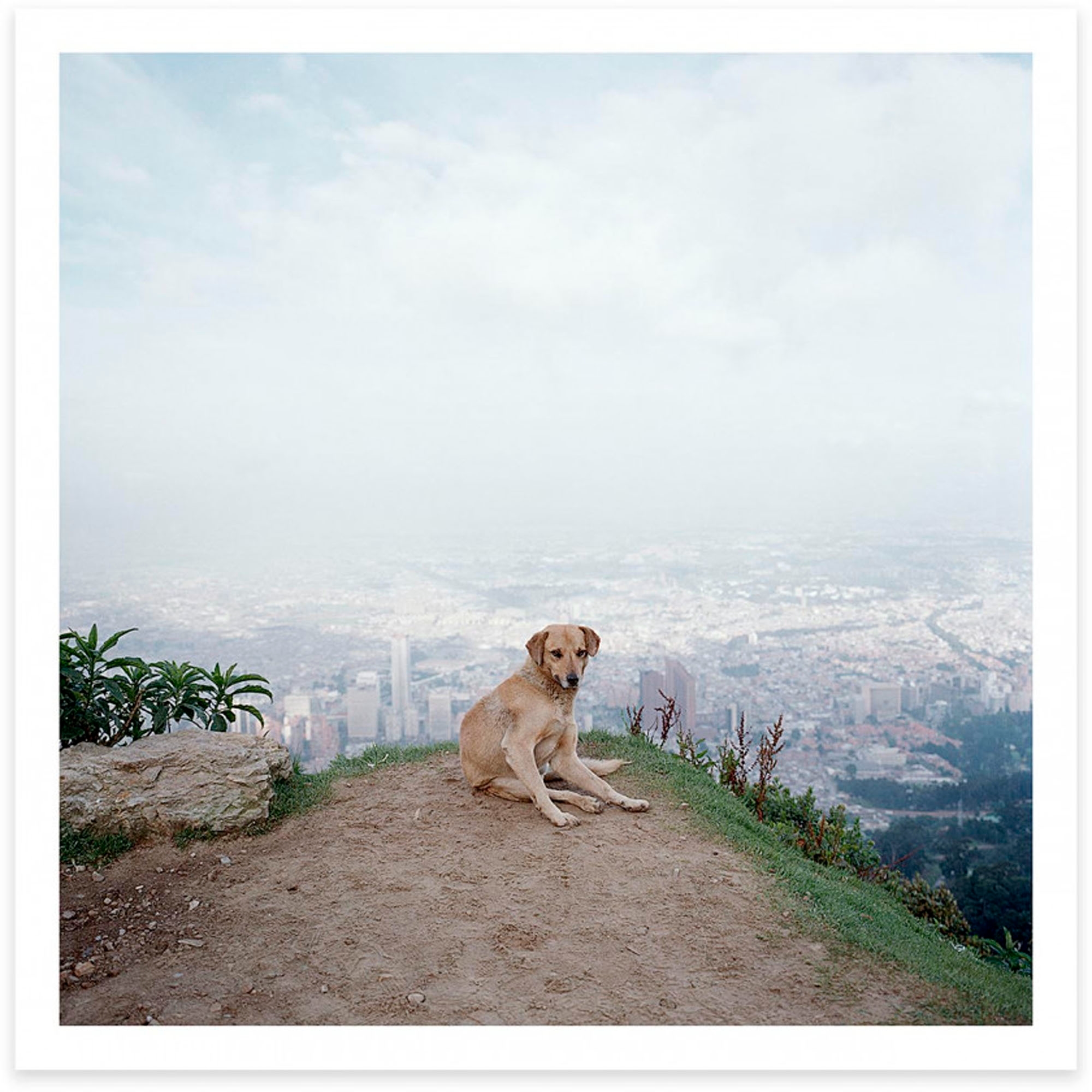 Alec Soth | Bogotá Colombia | MutualArt