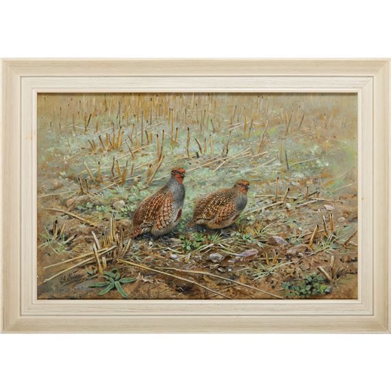 George Edward Lodge | PARTRIDGE IN STUBBLE | MutualArt