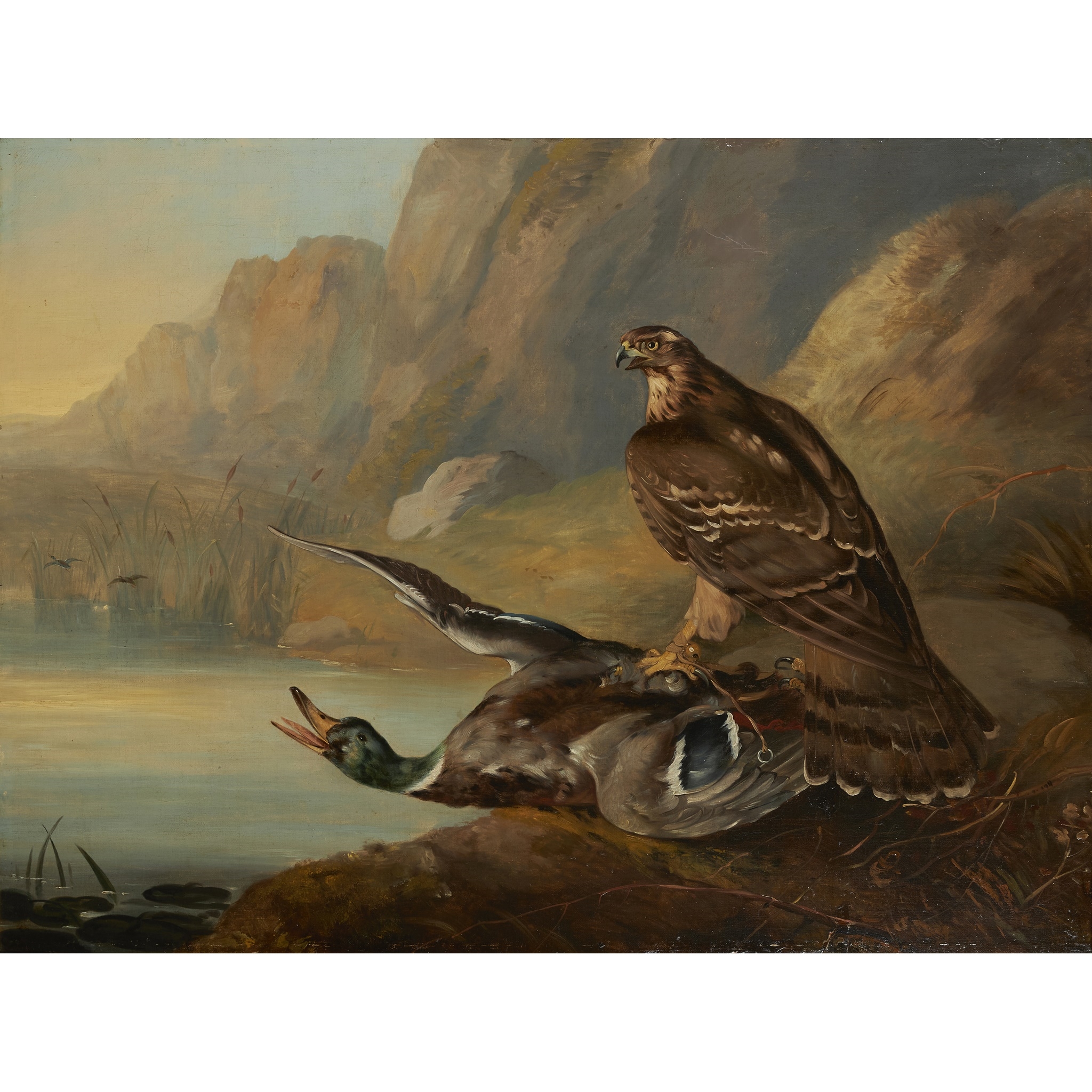 Philip Reinagle | GOSHAWK ATTACKING A MALLARD | MutualArt