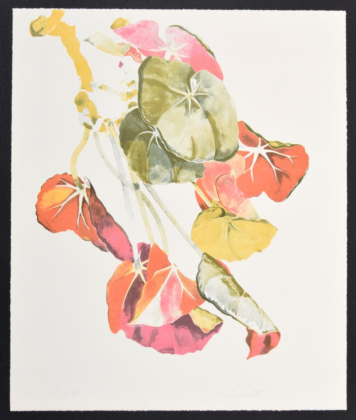 Sondra Freckelton | Begonia. (1983) | MutualArt