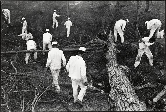 Danny Lyon | Ellis Prison Farm, Texas | MutualArt